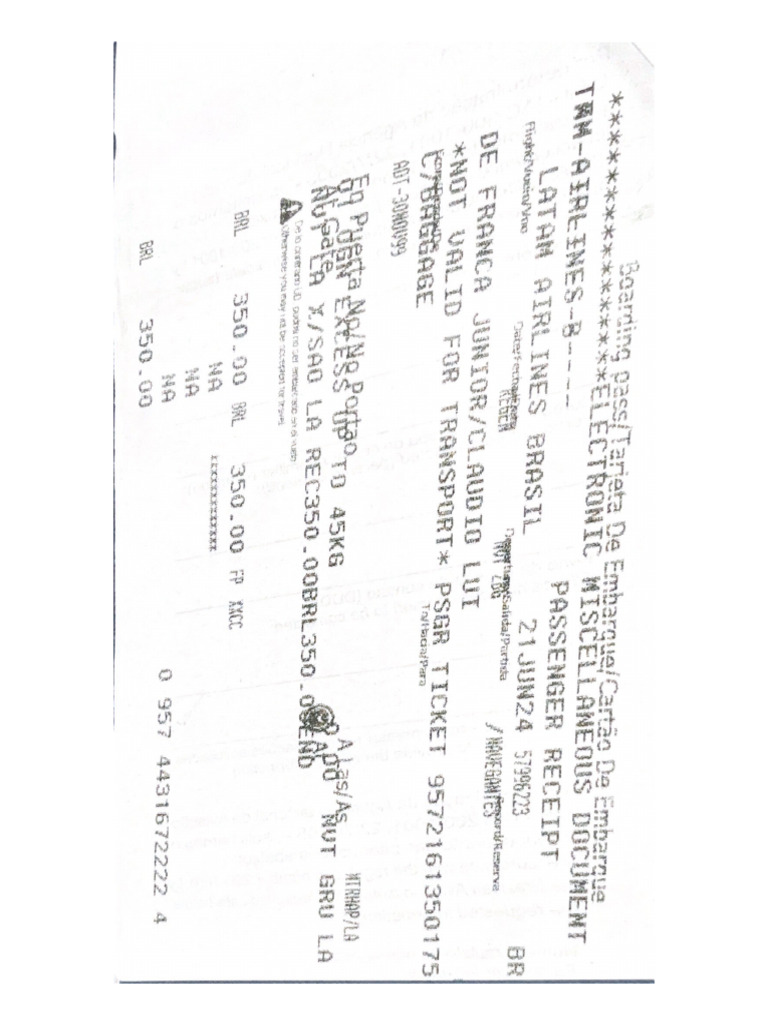 Passenger Receipt | PDF