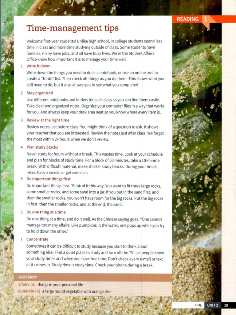 Time Management Tips | PDF