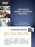 Ley de Higiene y Seguridad Laboral | PDF | Seguridad y salud ocupacional