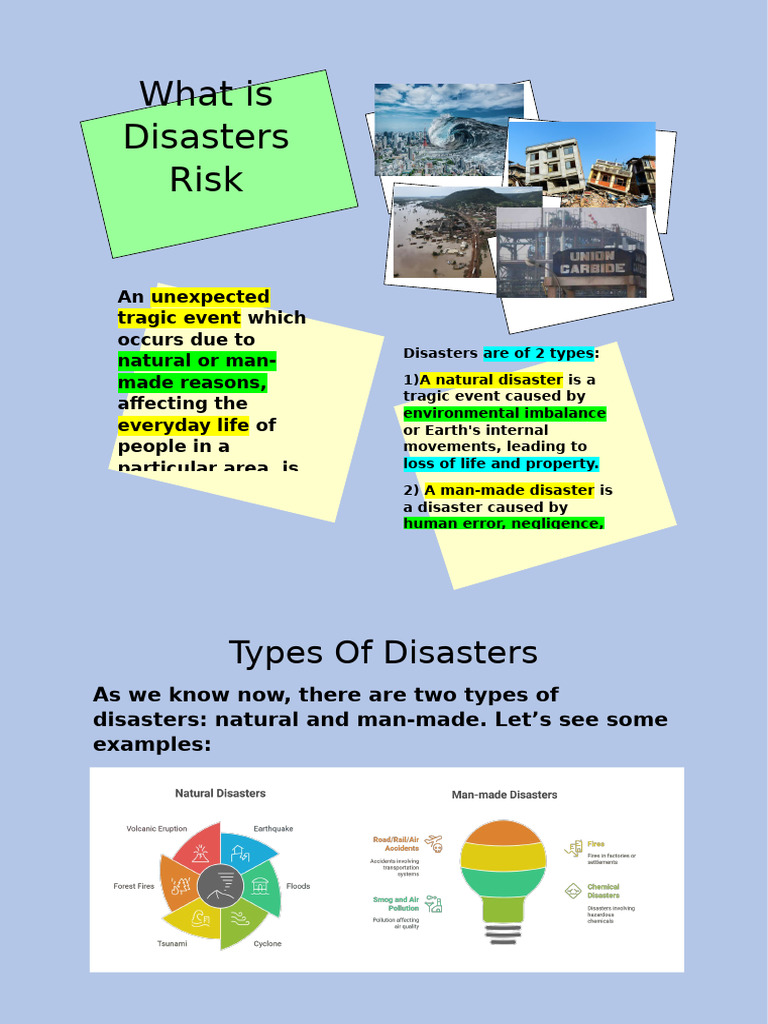 Man-Made Disasters and Risk Management | PDF