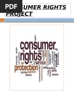Consumer Rights Project Class 10 | PDF | Consumer Protection | Justice