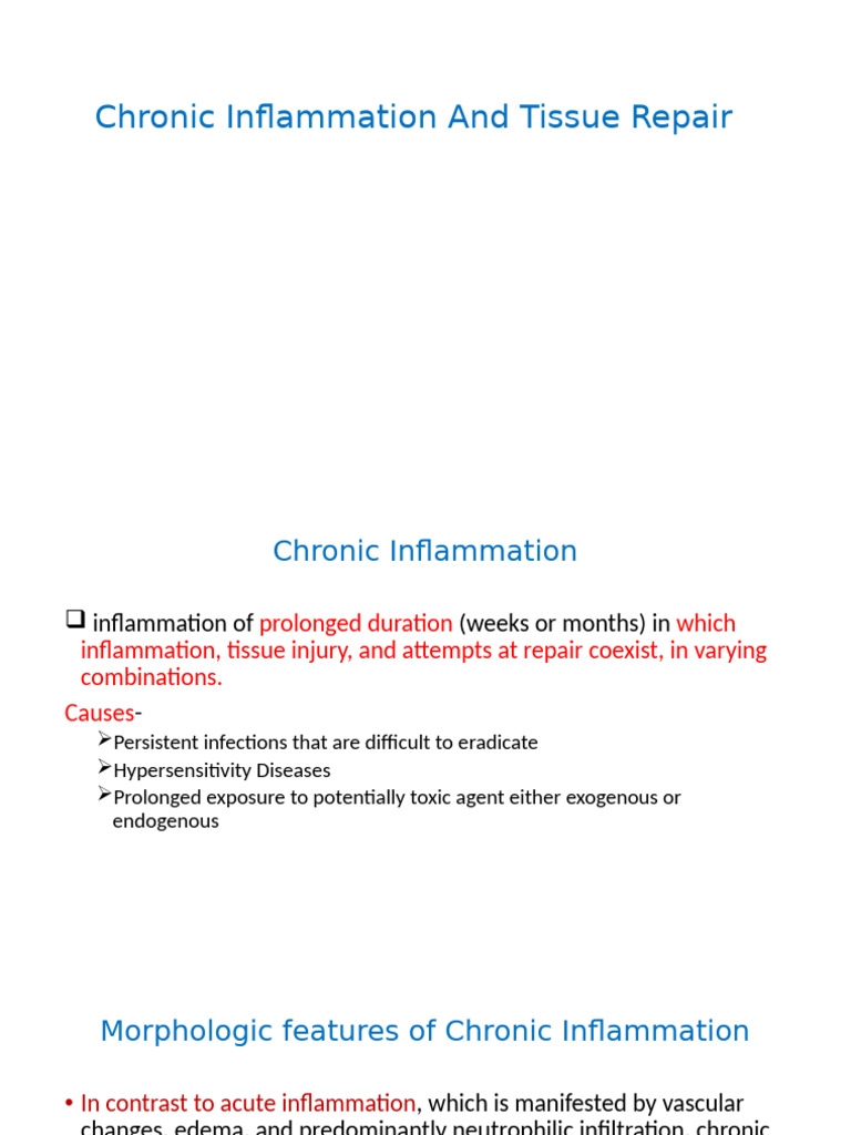 Chronic Inflammation and Tissue Repair Insights | PDF | Wound Healing ...
