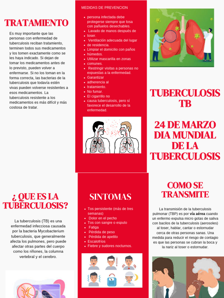 Tríptico Folleto Negocio Ilustrado Rojo | PDF | Tuberculosis | Inmunología