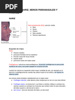 Otorrinolaringologia Fosas Nasales | PDF | Nariz humana | Sistema esquelético