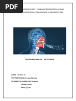 Tipos y Funciones de los Resonadores Vocales | PDF | Sonido | Boca