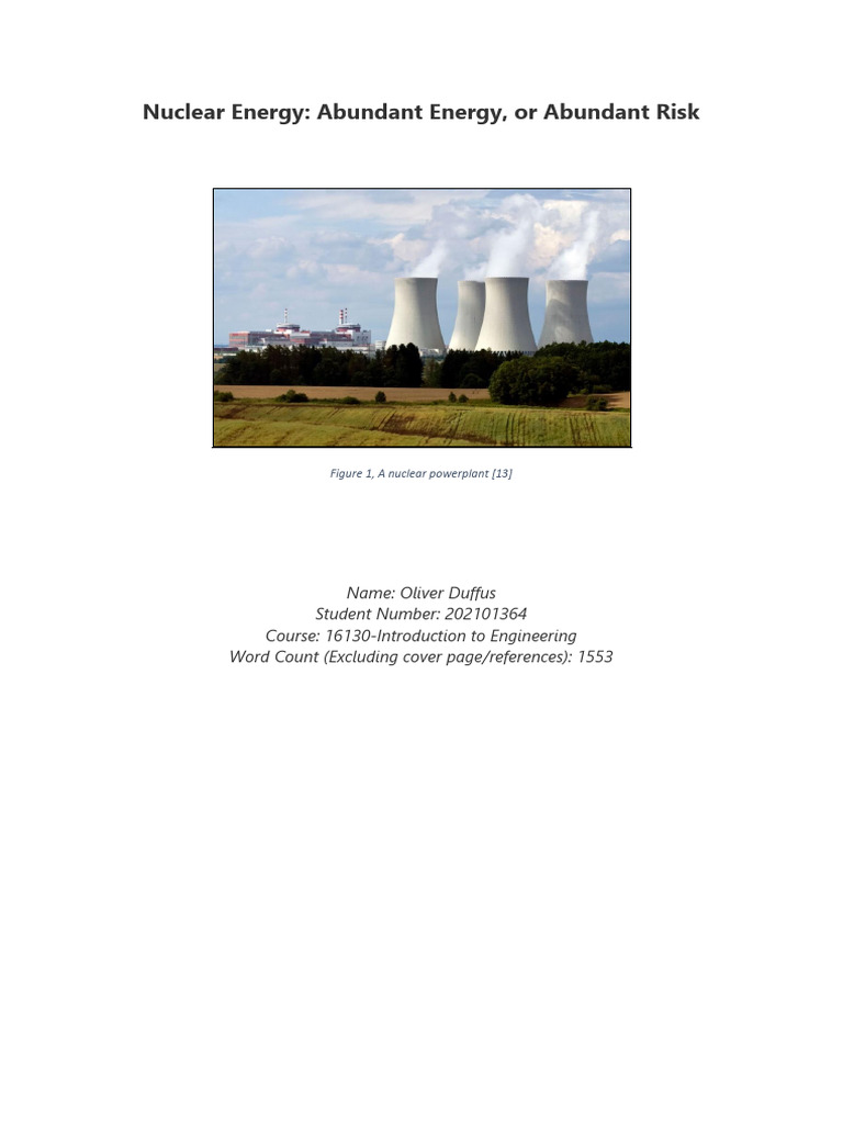 Assignment 2 - Nuclear Energy | PDF | Nuclear Power | Energy Development