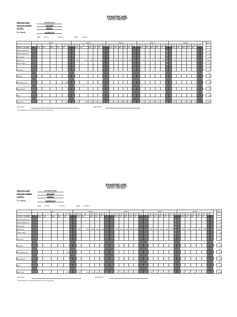 Timesheet PanAfricare For OWOD TBA NOV 2024 | PDF | Employee Relations ...