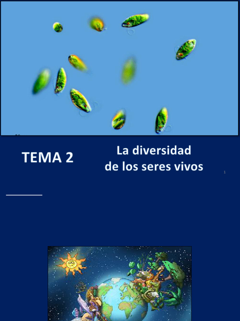 Tema 2-La Diversidad de Los Seres Vivos 3.1 | PDF | Las bacterias | Plantas