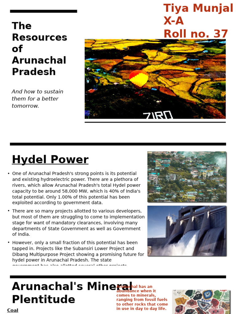 Science HHW Tiya Munjal Roll No. 37 10A | PDF | Petroleum | Fossil Fuels
