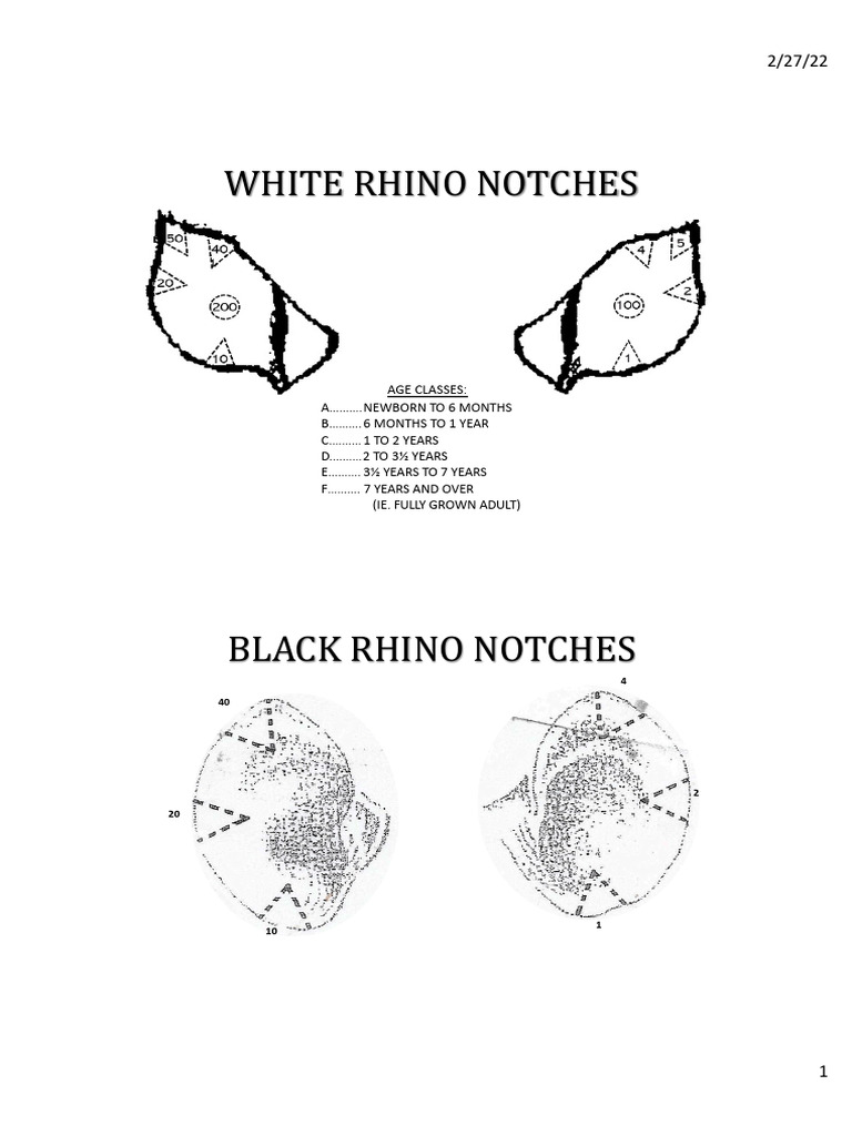 White and Black Rhino Age Notches | PDF
