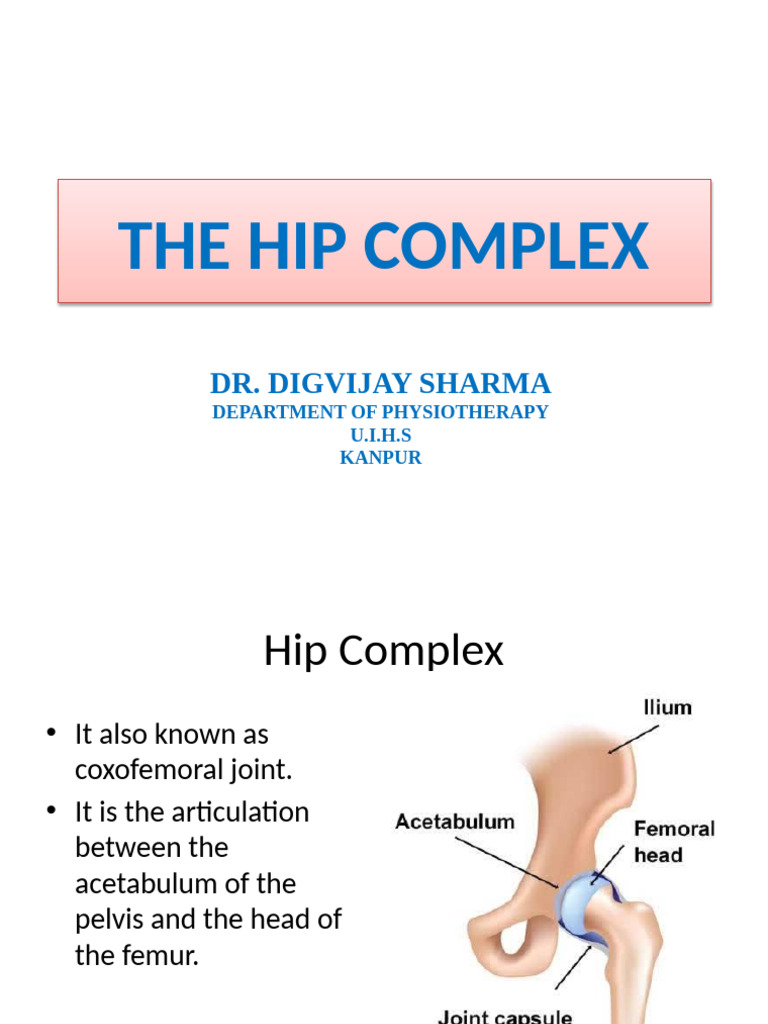Overview of the Hip Complex | PDF | Hip | Pelvis