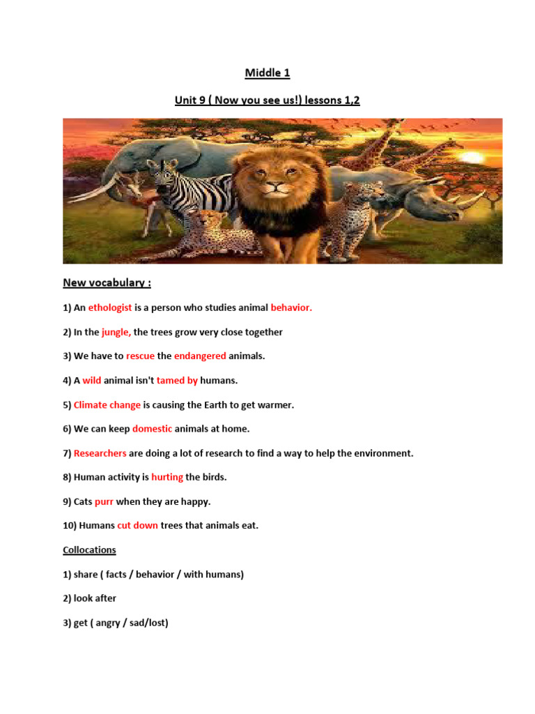 Middle 1 Unit 9 Lessons 1,2-1 | PDF