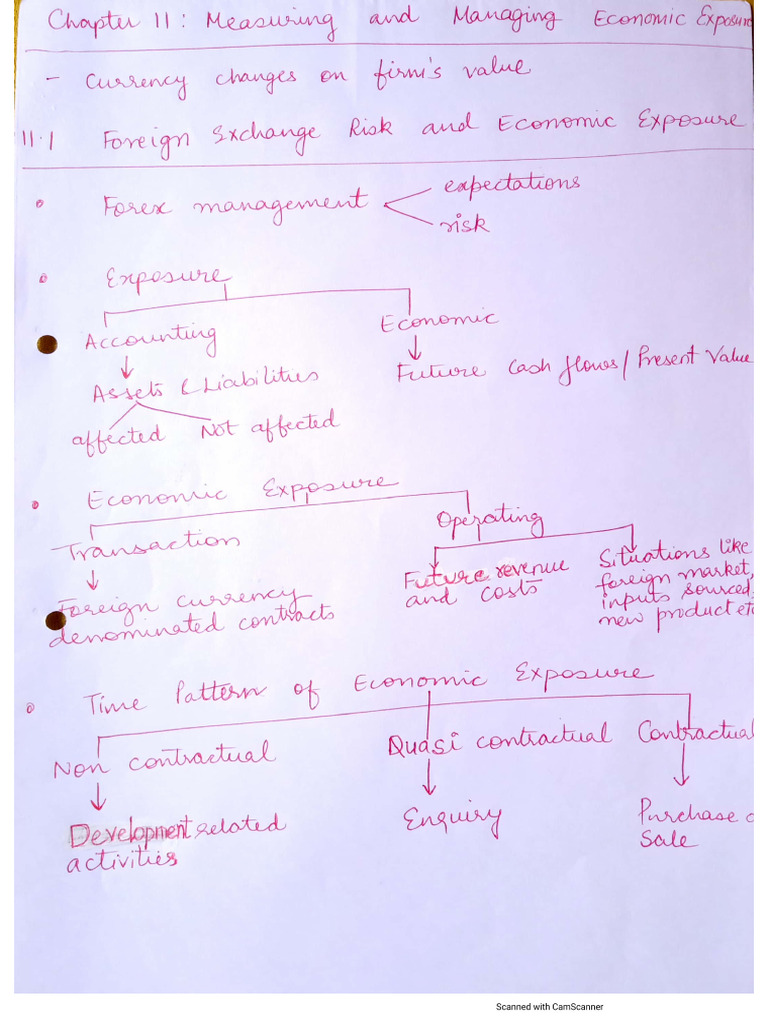 Notes - Measuring and Managing Economic Exposure | PDF