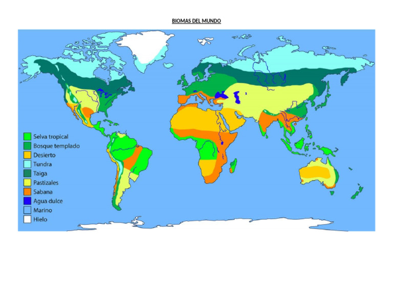 BIOMAS - DEL - MUNDO Escuela Primaria | PDF