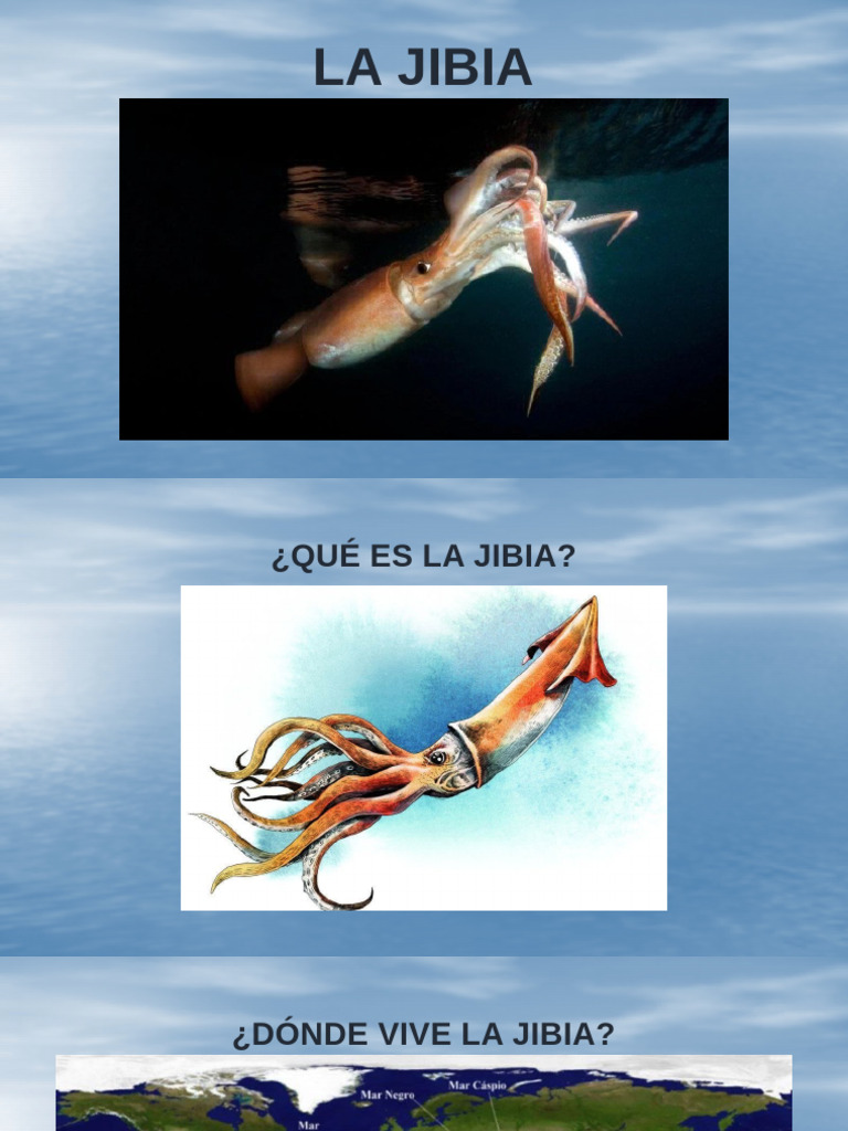 La Jibia | PDF