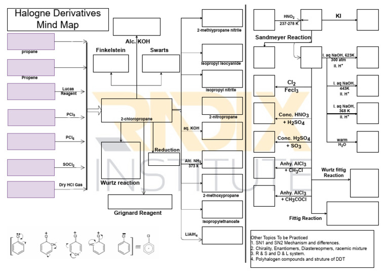 Haloalkanes and Haloarenes Mind Map | PDF | Organic Chemistry | Chemistry