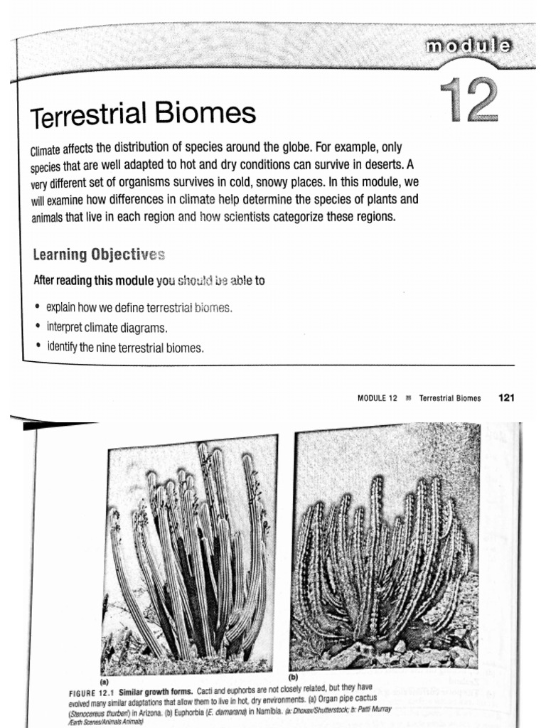 Module 12. APES | PDF