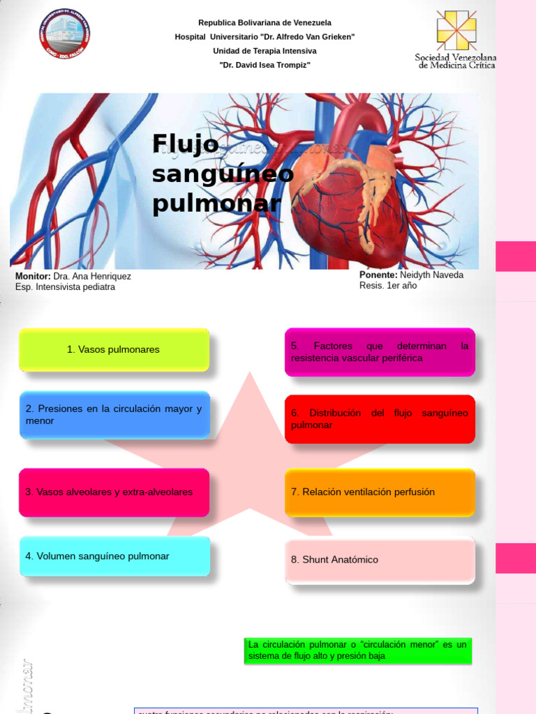 Flujo Sanguineo Pulmonar Pdf Pulmón Sistema Circulatorio