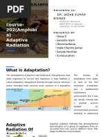 Function of Fish Nares Explained | PDF | Olfaction | Fish