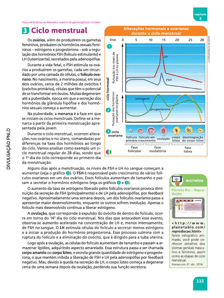 Texto - Sistema Reprodutor e Ciclo Menstrual | PDF