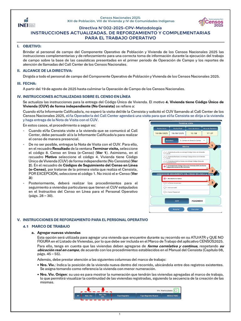 Directiva #002 Instruc. Reforzam Complem 18.08.25 | PDF | Educación de ...