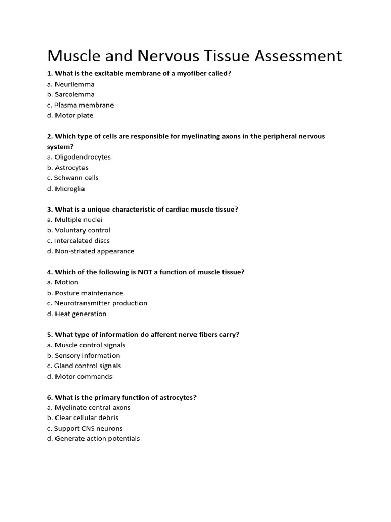 Muscle and Nervous Tissue Quiz Answers | PDF | Axon | Motor Neuron