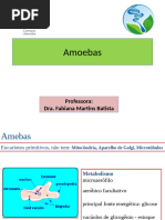 Entamoeba histolytica: Ciclo e Sintomas | PDF | Ciências da Saúde | Imunologia