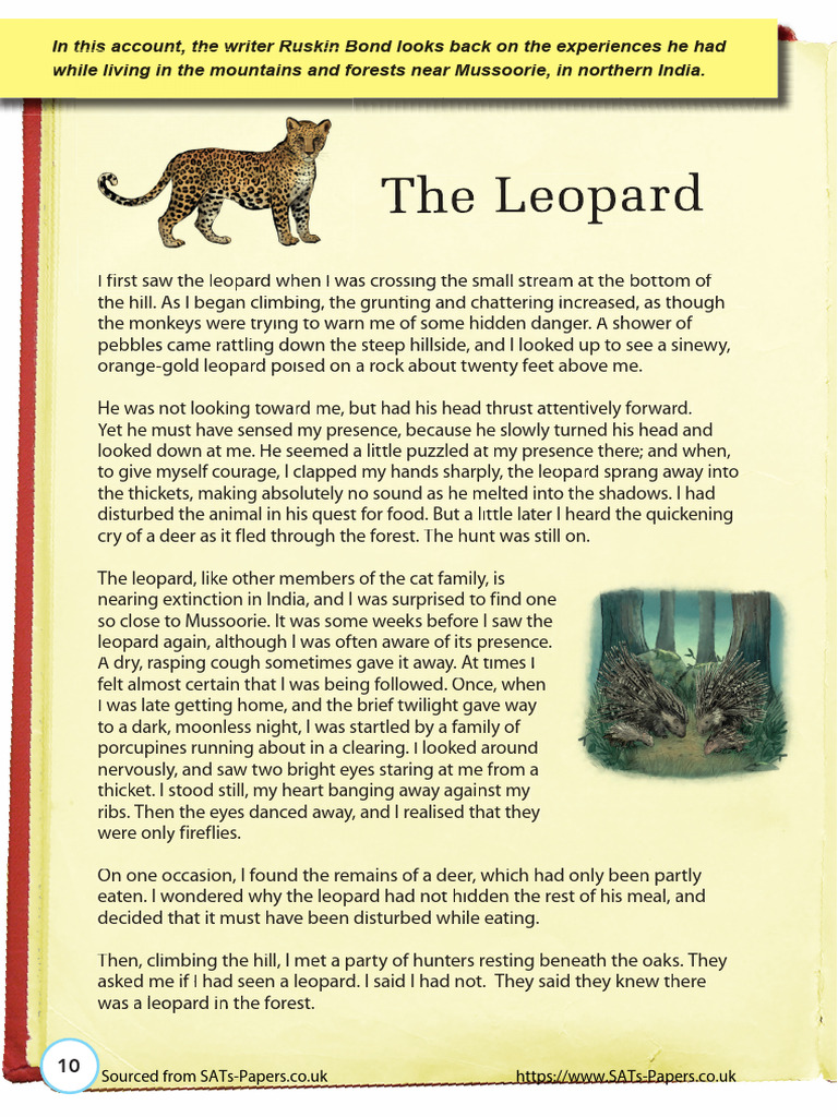 KS2 English 2024 Reading Booklet | PDF | Zoology | Felids