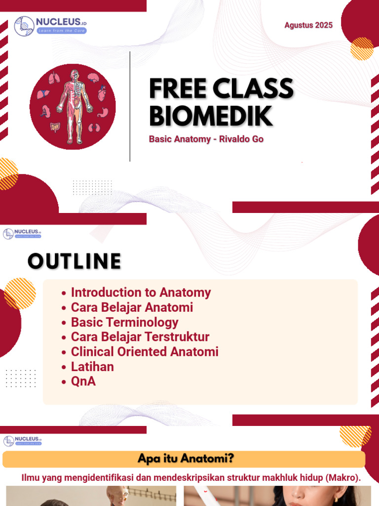 PPT Freeclass Anatomi (Coretan Tutor) | PDF