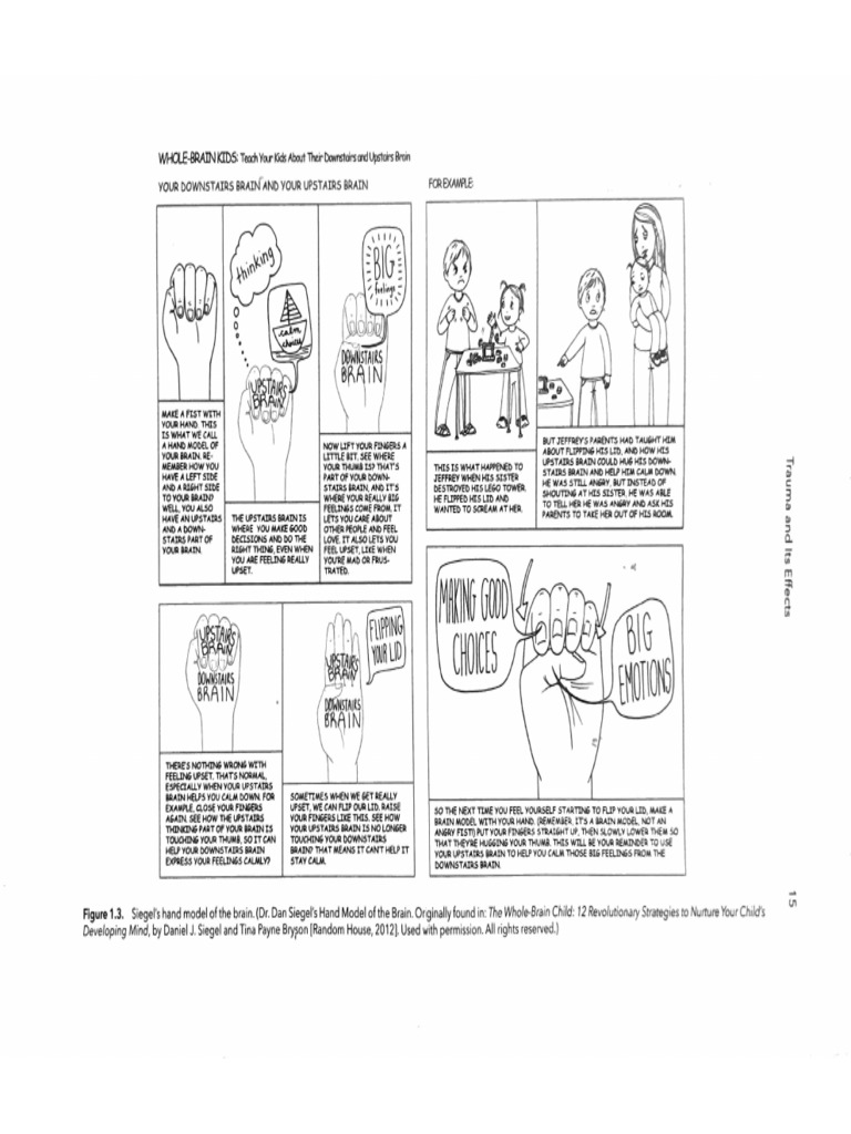Siegel's Hand Model of The Brain | PDF