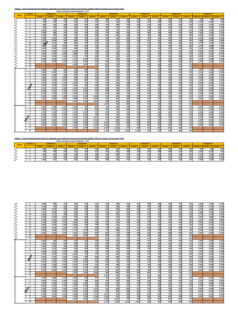 Grille salariale fonction publique 2025 | PDF | Emploi | France