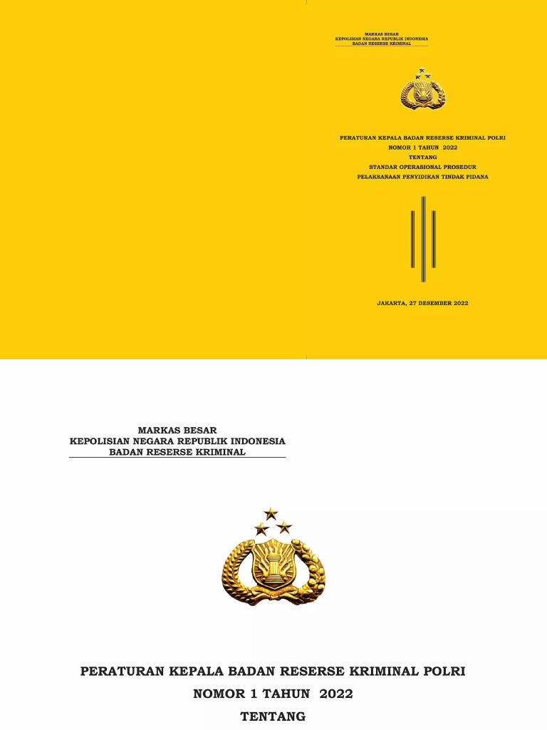 Lampiran 1 Perkaba No 1 Tahun 2022 | PDF