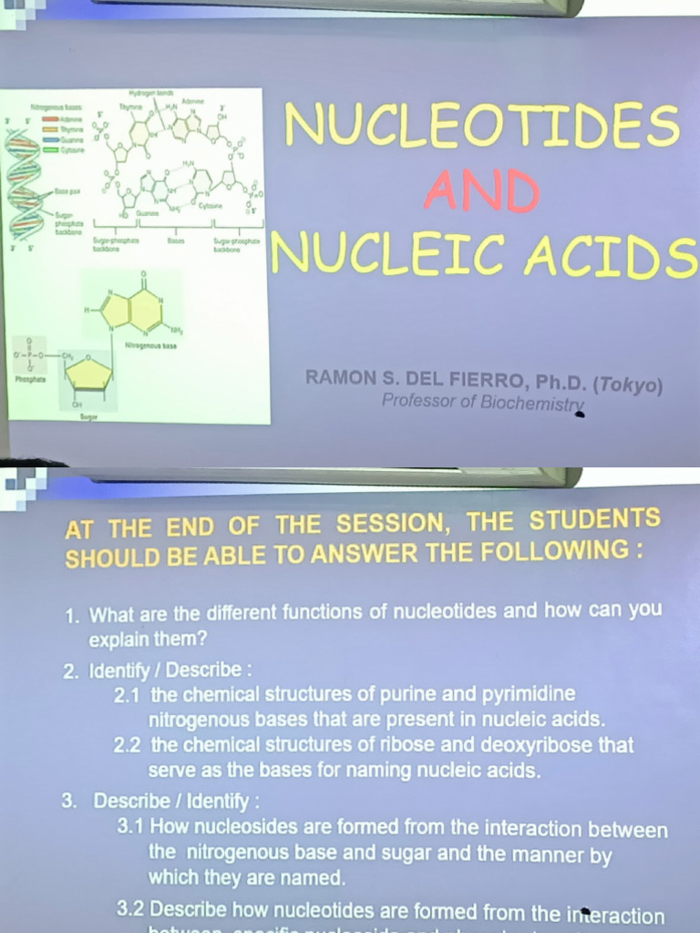Nucleotides & Nucleic Acids | PDF