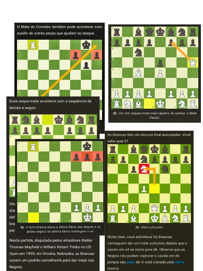 Xadrez Cheque Mate | PDF