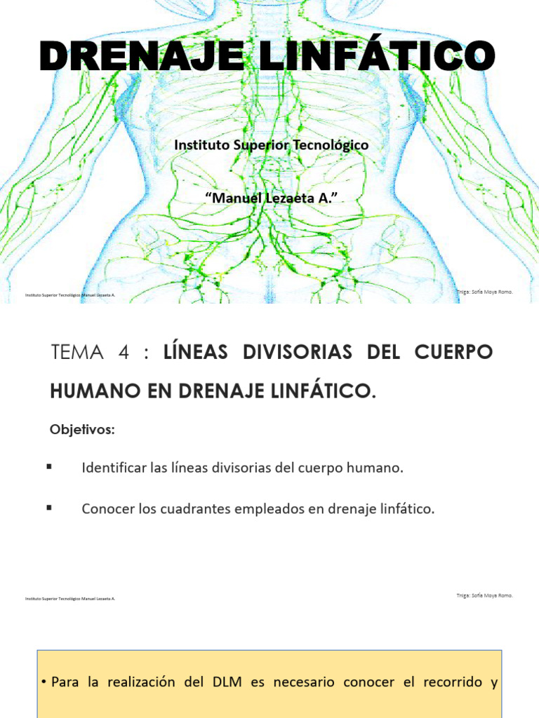 Lã Neas Divisorias Linfã Ticas | PDF | Sistema linfático | Linfa