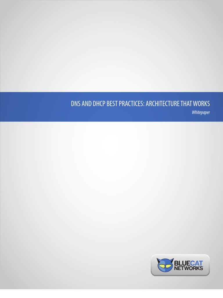 1 14983 Bluecat Networks Whitepaper Dns Dhcp Best Practices Architecture That Works Pdf