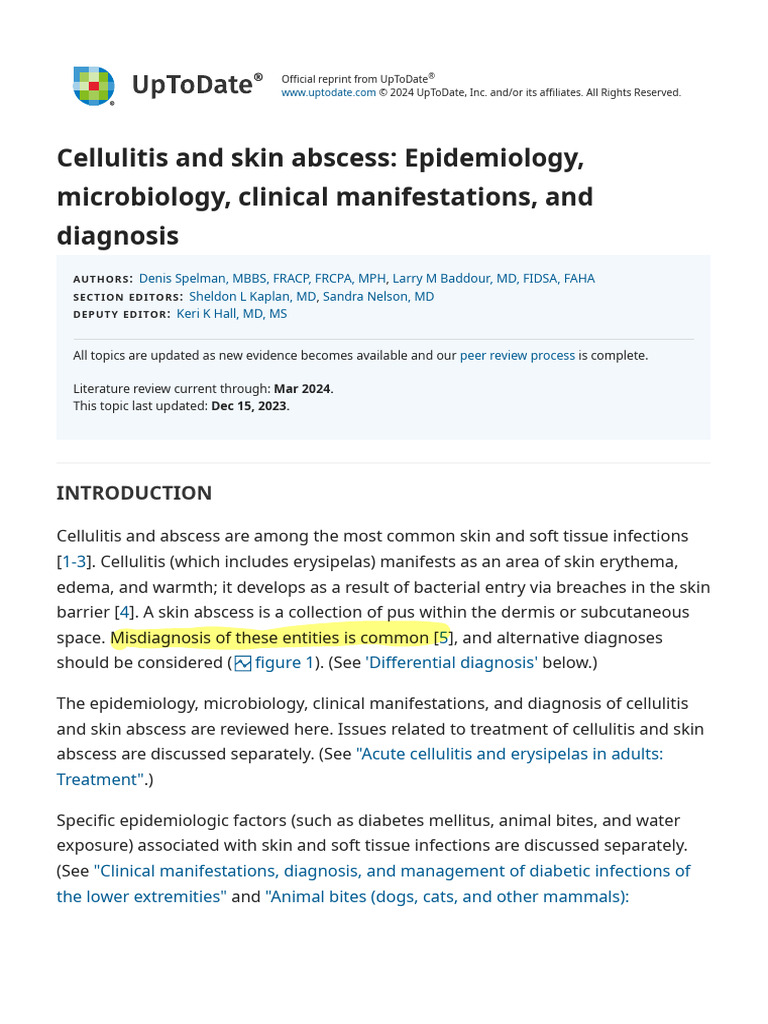 Understanding Cellulitis and Abscesses | PDF | Streptococcus | Infection