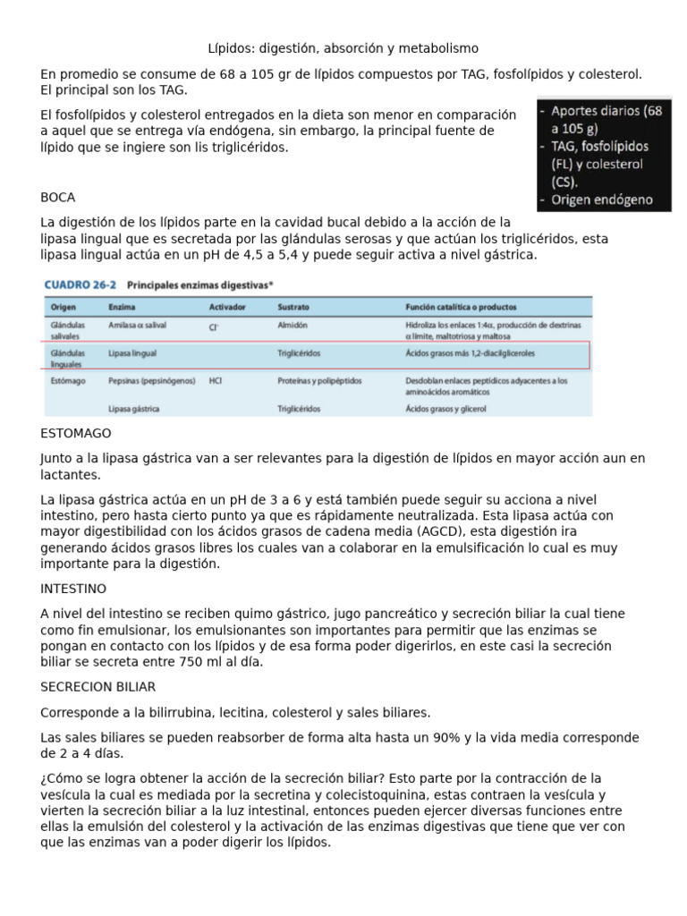 Lípidos | PDF | Bilis | Digestión