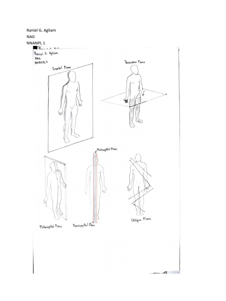 Course Work Week 1 | PDF