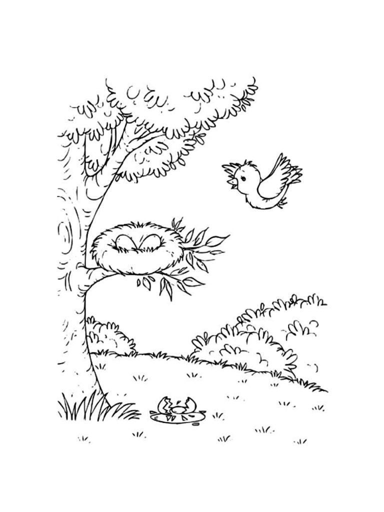 Drawing Nest in The Tree | PDF