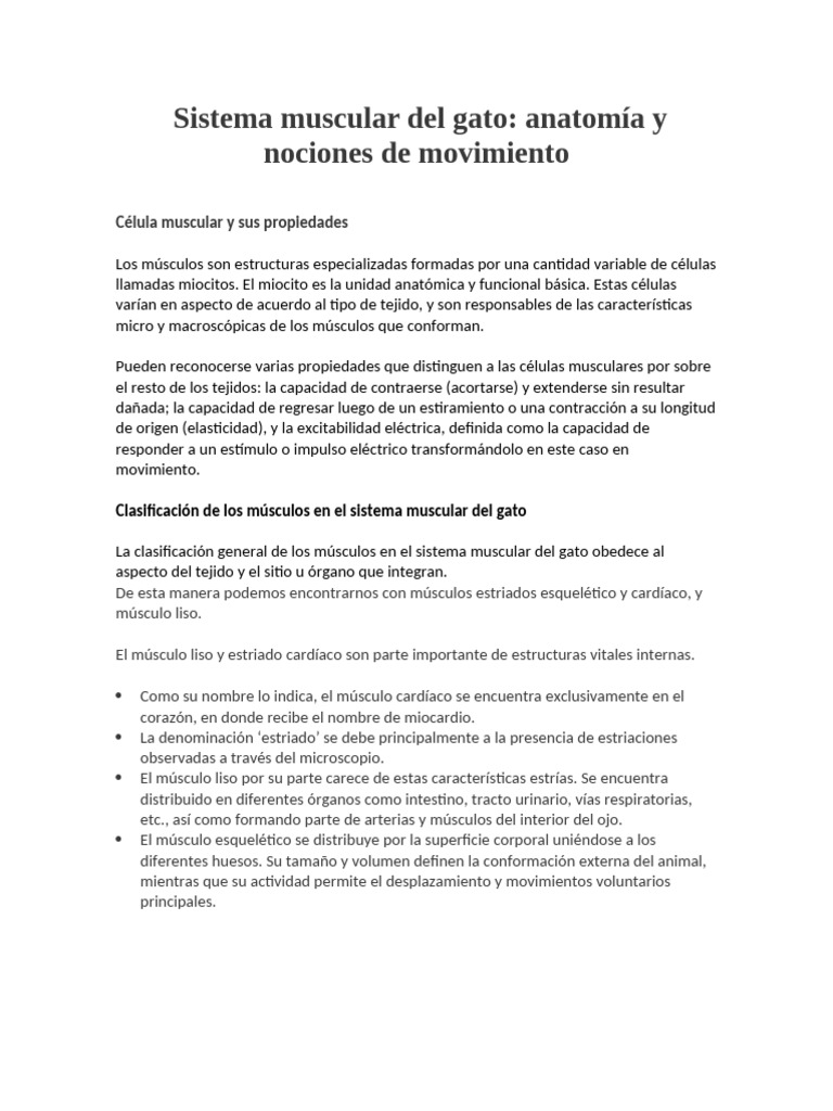 Anatomía del sistema muscular del gato | PDF | Músculo | Rodilla