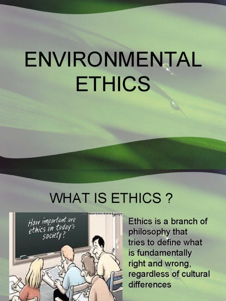Environmental Ethics | Deforestation | Environmental Ethics