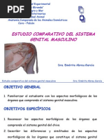 Reflejo de Flehmen en Animales | PDF | Biología