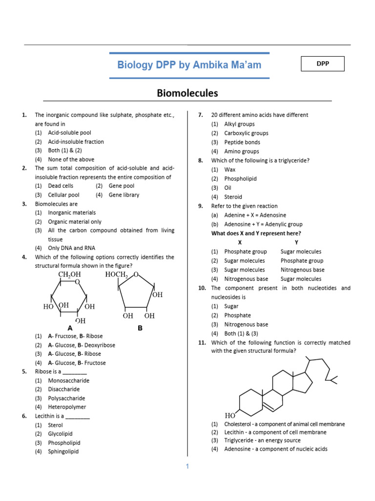 Understanding Biomolecules and Their Functions | PDF | Lipid | Enzyme