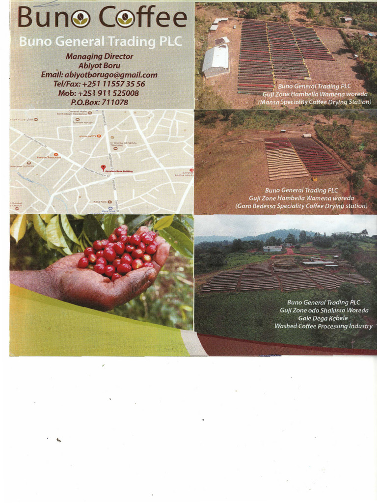 Guji Coffee Processing and Export Insights | PDF | Coffee | Soil