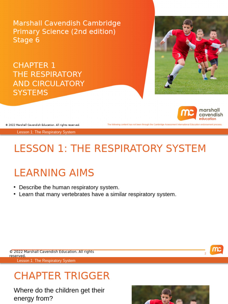 Respiratory and Circulatory Systems Guide | PDF | Circulatory System ...