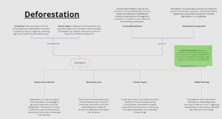 Paragraph About Deforestation | PDF