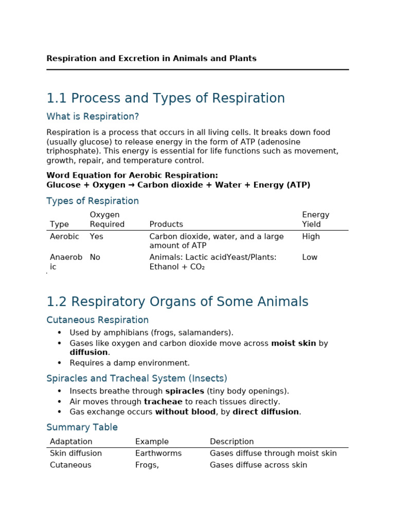Respiration Excretion Notes | PDF | Respiratory System | Excretion