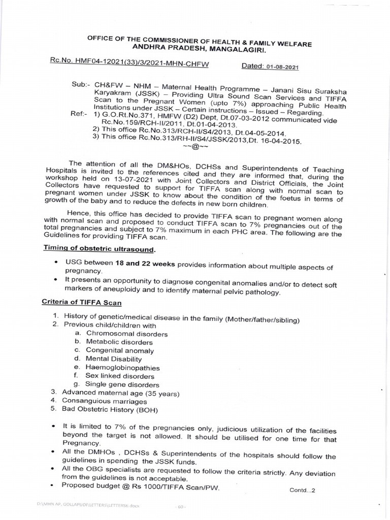 TIFFA Scan Implementation Guidelines | PDF | Health Care | Maternal Health