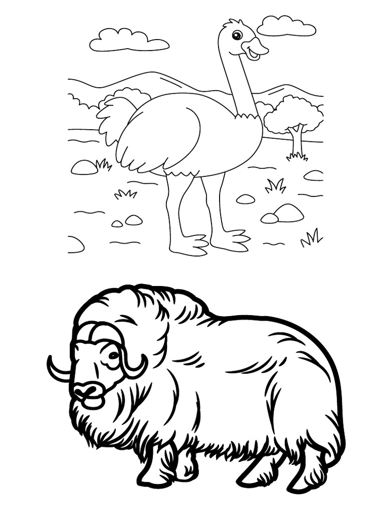 Ox Ostrich Coloring | PDF